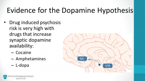 Psychopharmacology Institute