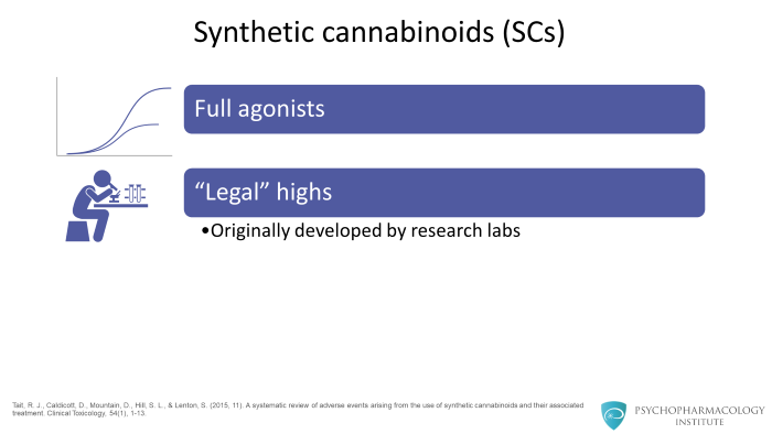 Psychopharmacology Institute